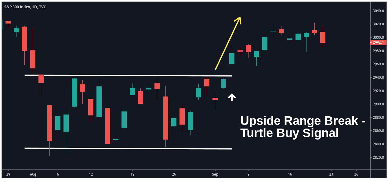 Turtle trading: En markedslegende - Invested.dk